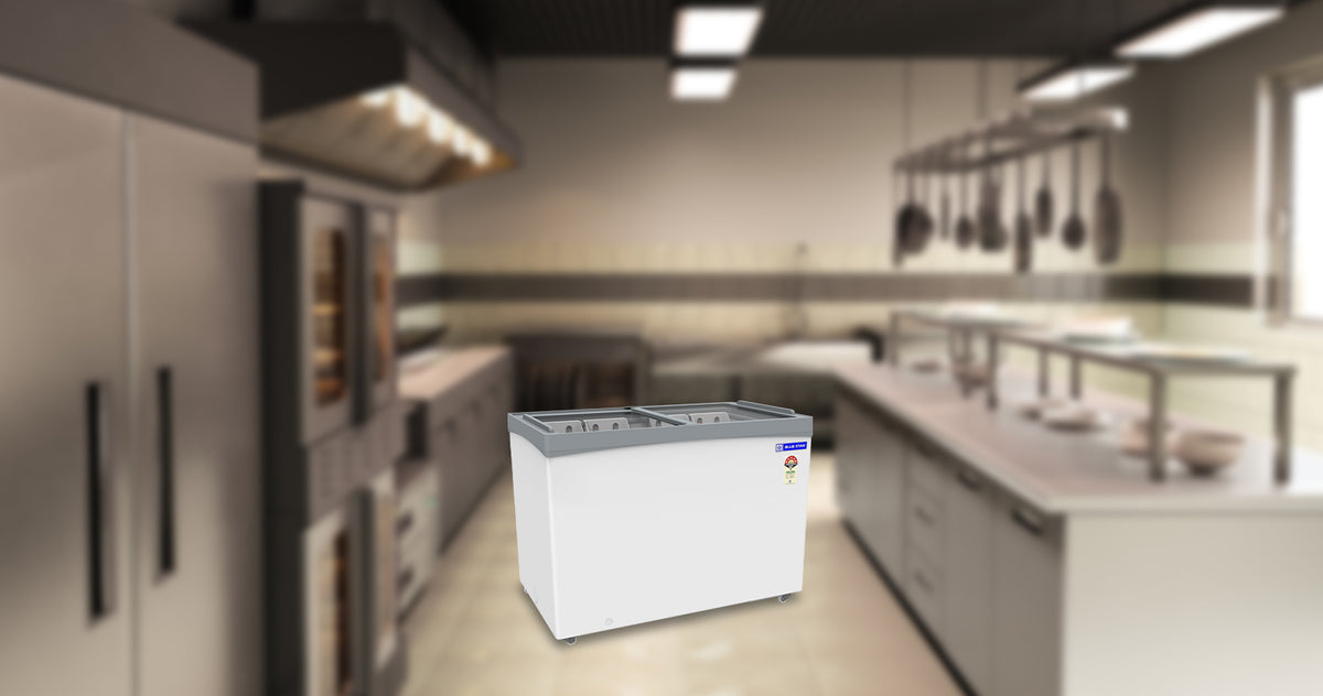NP Series | Glass Top | Deep Freezer | 315 Litres | 5 Star | 2025 BEE ...