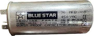 Capacitor – Blue Star